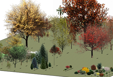 CAD Forum - Block-model: Vegetation family library (Foliage, trees, plants)